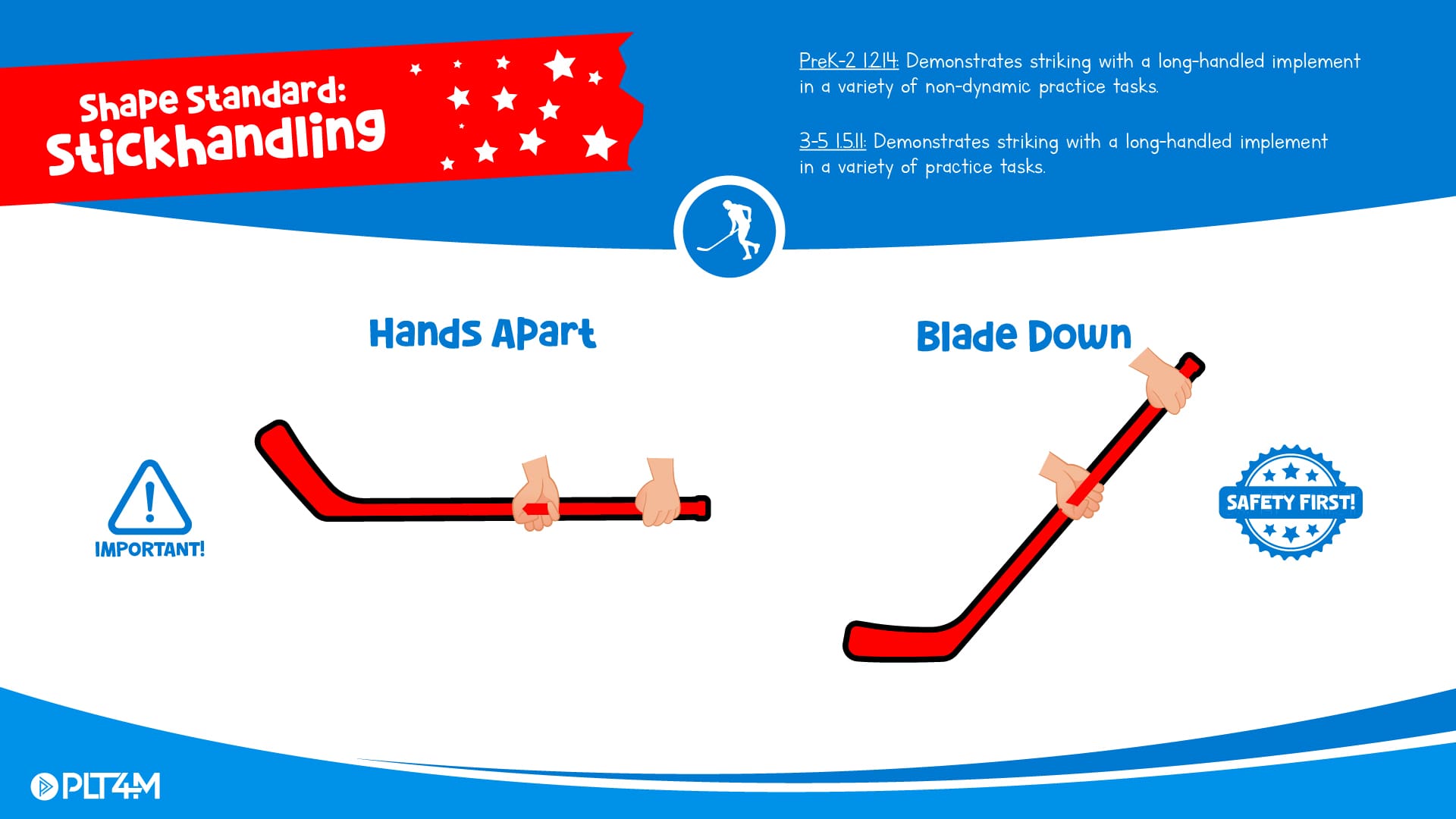 Floor Hockey PE Lesson Plans | PLT4M